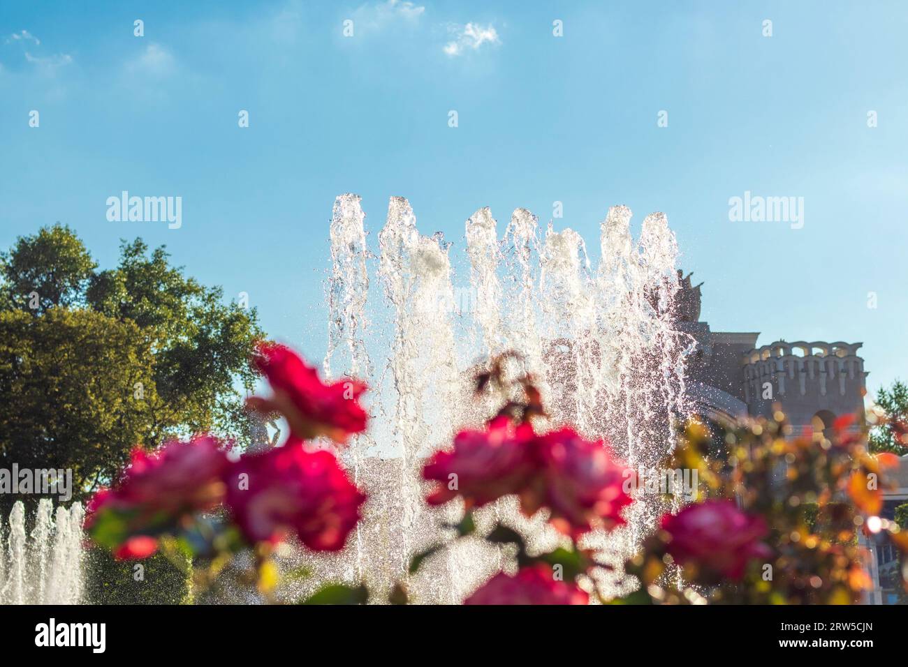 Foreground activities hi-res stock photography and images - Alamy