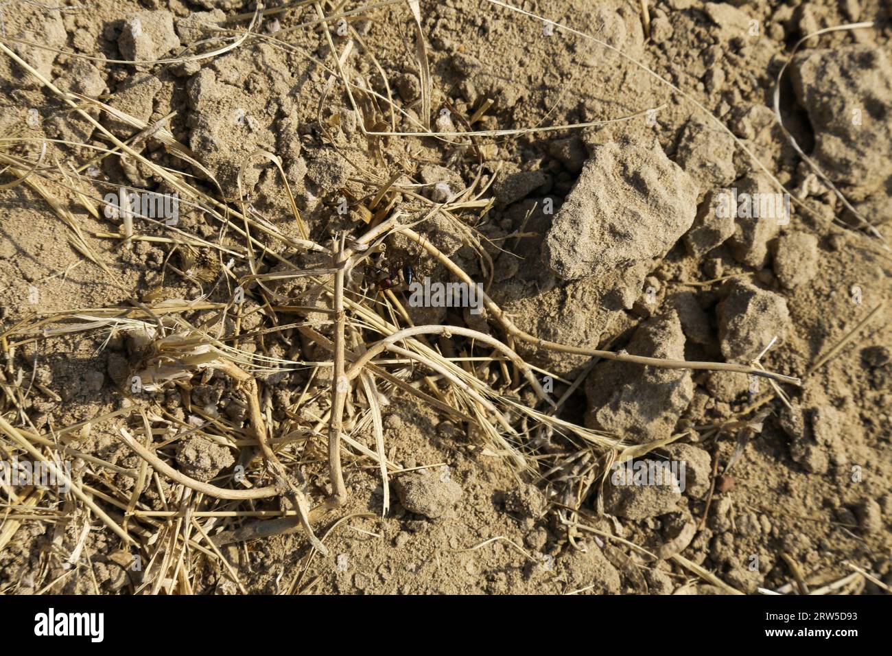 Soil close up texture from above hi-res stock photography and images ...