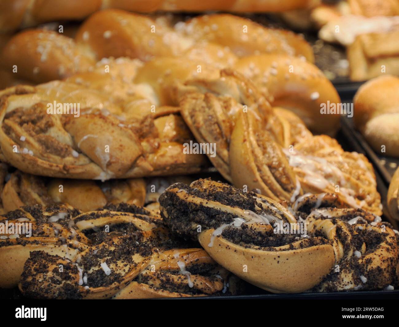 A tyrol bakery products Italian rye bread from Trentino-Alto Adige ...