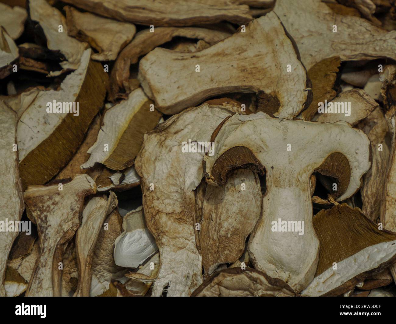 Dry slices of porcini as gourmet food ingredient, texture background ...