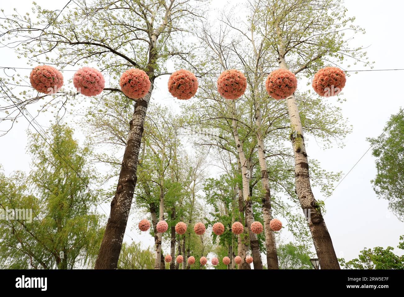 That hang in the sky hi-res stock photography and images - Alamy