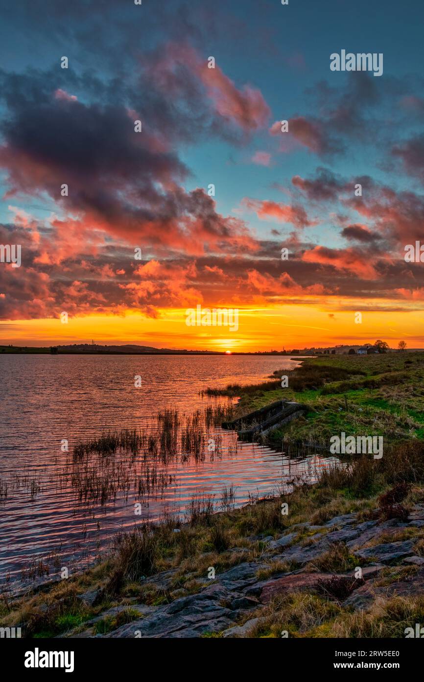 Golden parsonage hi-res stock photography and images - Alamy