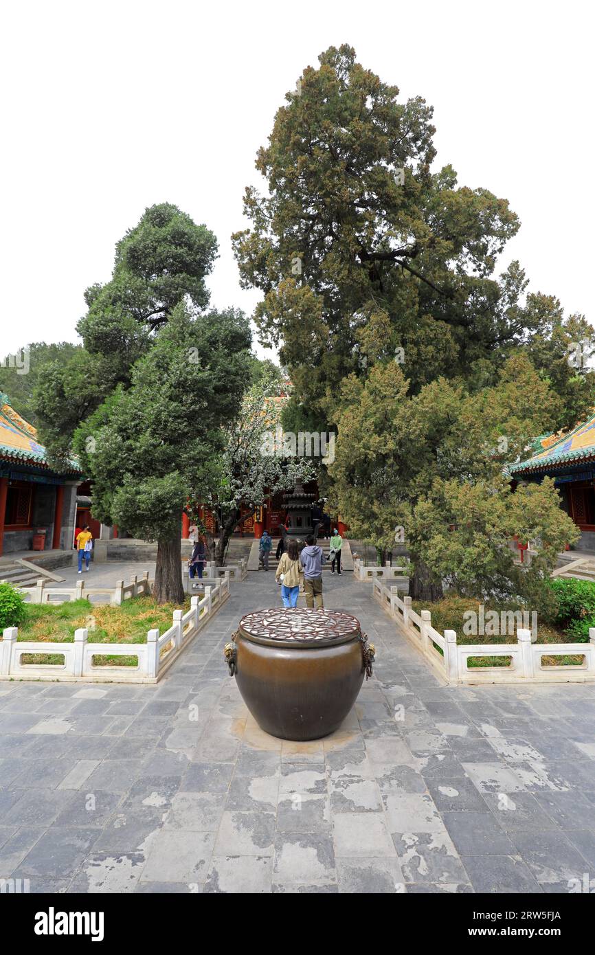 Huge copper VAT in temple courtyard, Beijing Stock Photo - Alamy