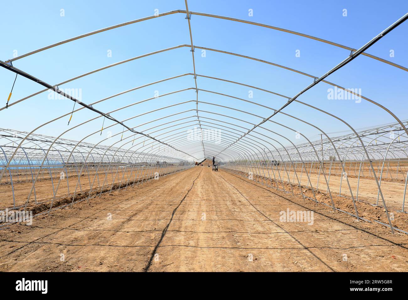 Rice seedling arch shed under construction in the farm, North China ...
