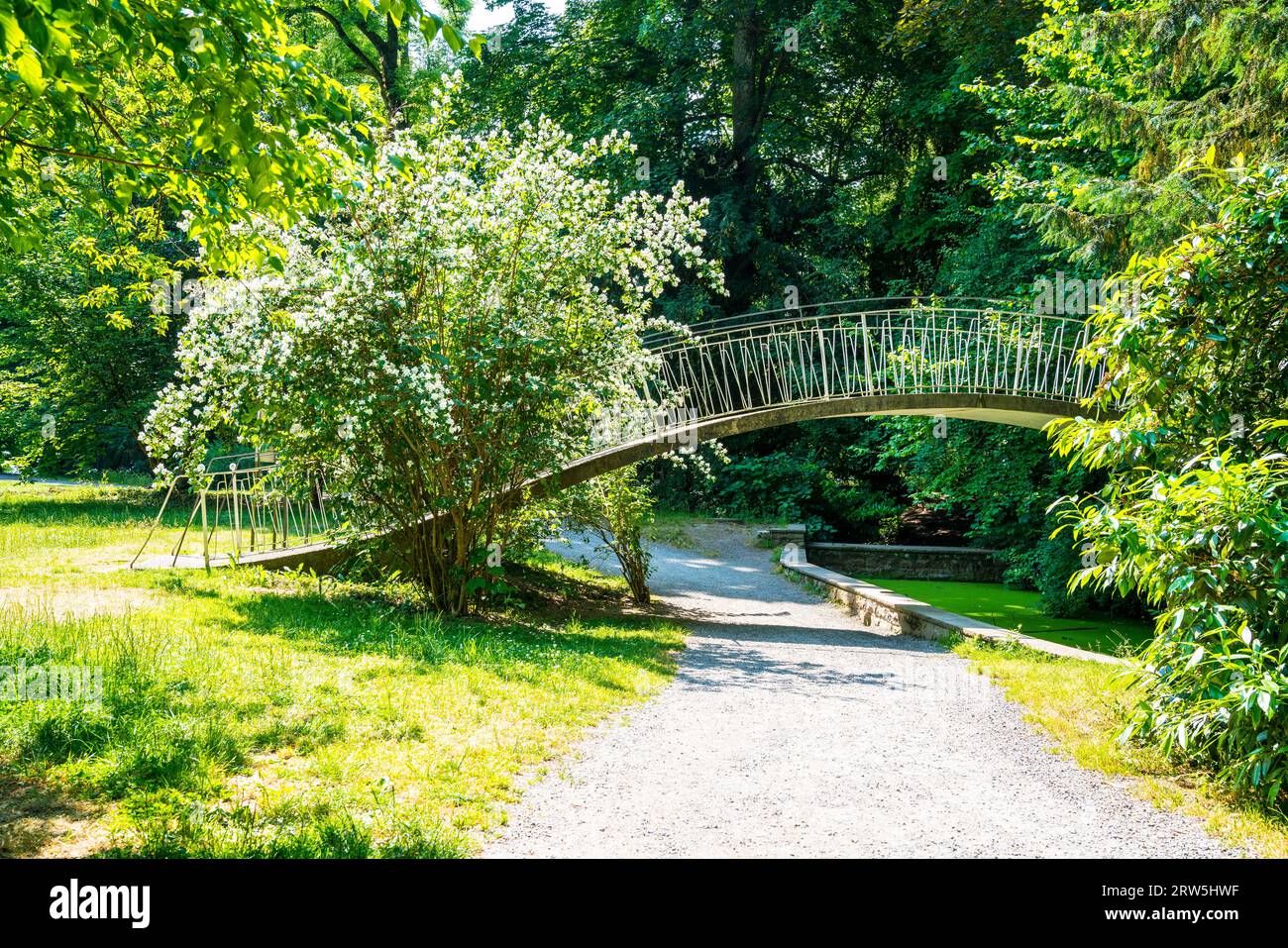 Beautiful bridge over path and green pond in nature landscape sunny day ...