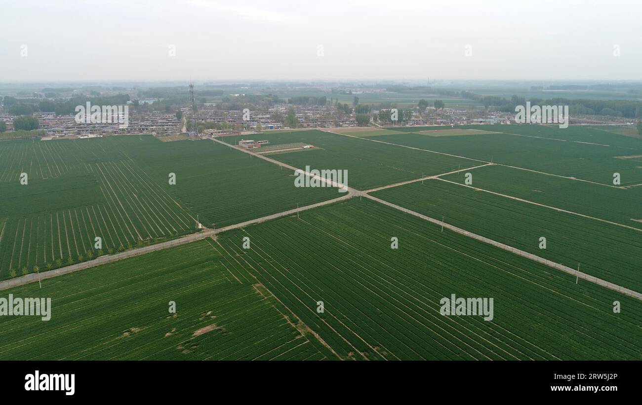 Farmland and villages are in the North China Plain Stock Photo - Alamy