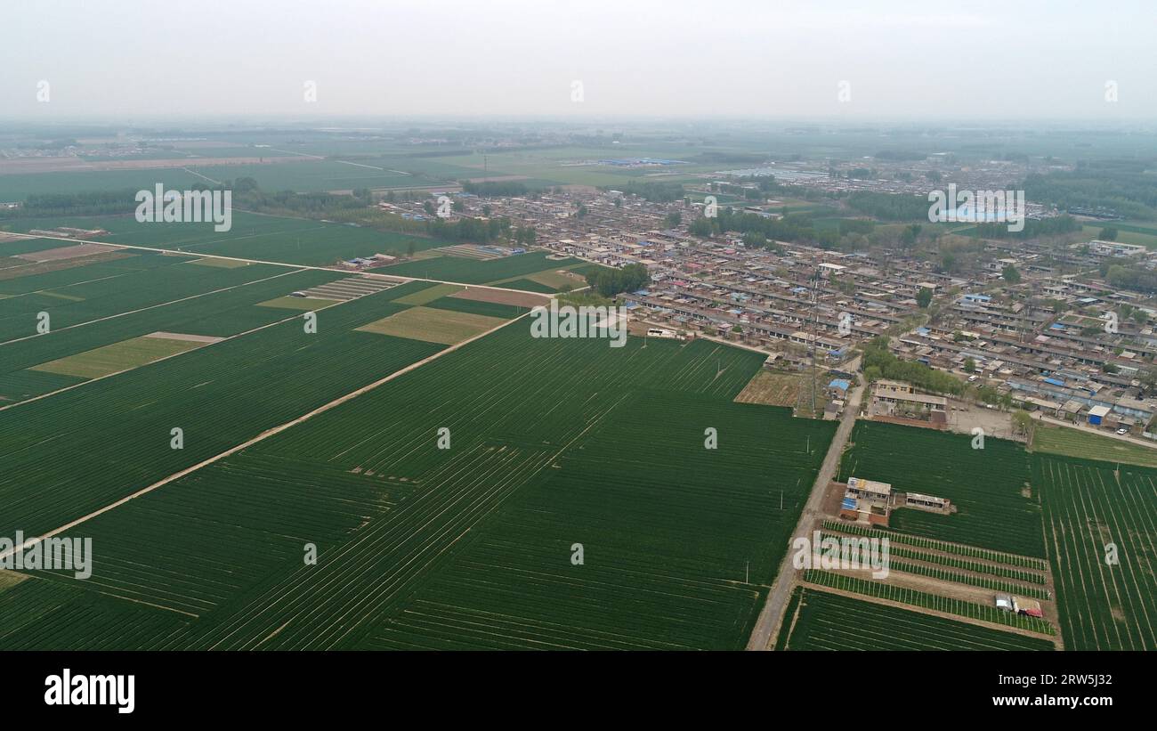Farmland and villages are in the North China Plain Stock Photo - Alamy
