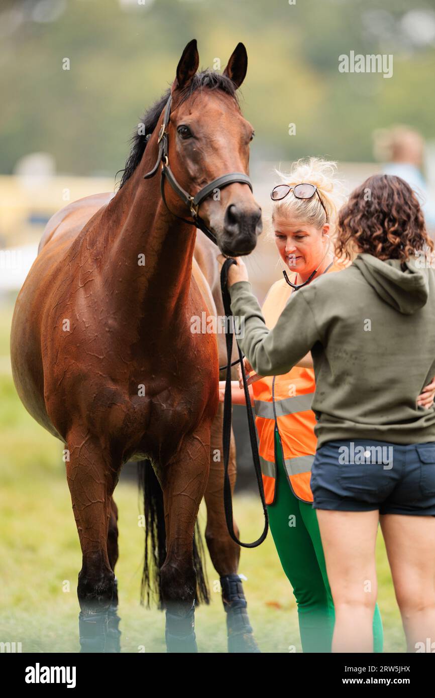 Woodstock, Oxfordshire, UK. 16th Sep 2023. Jillian Giessen of ...