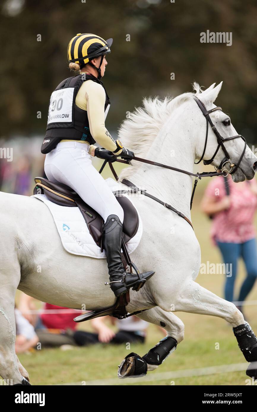 David warrilow hi-res stock photography and images - Alamy