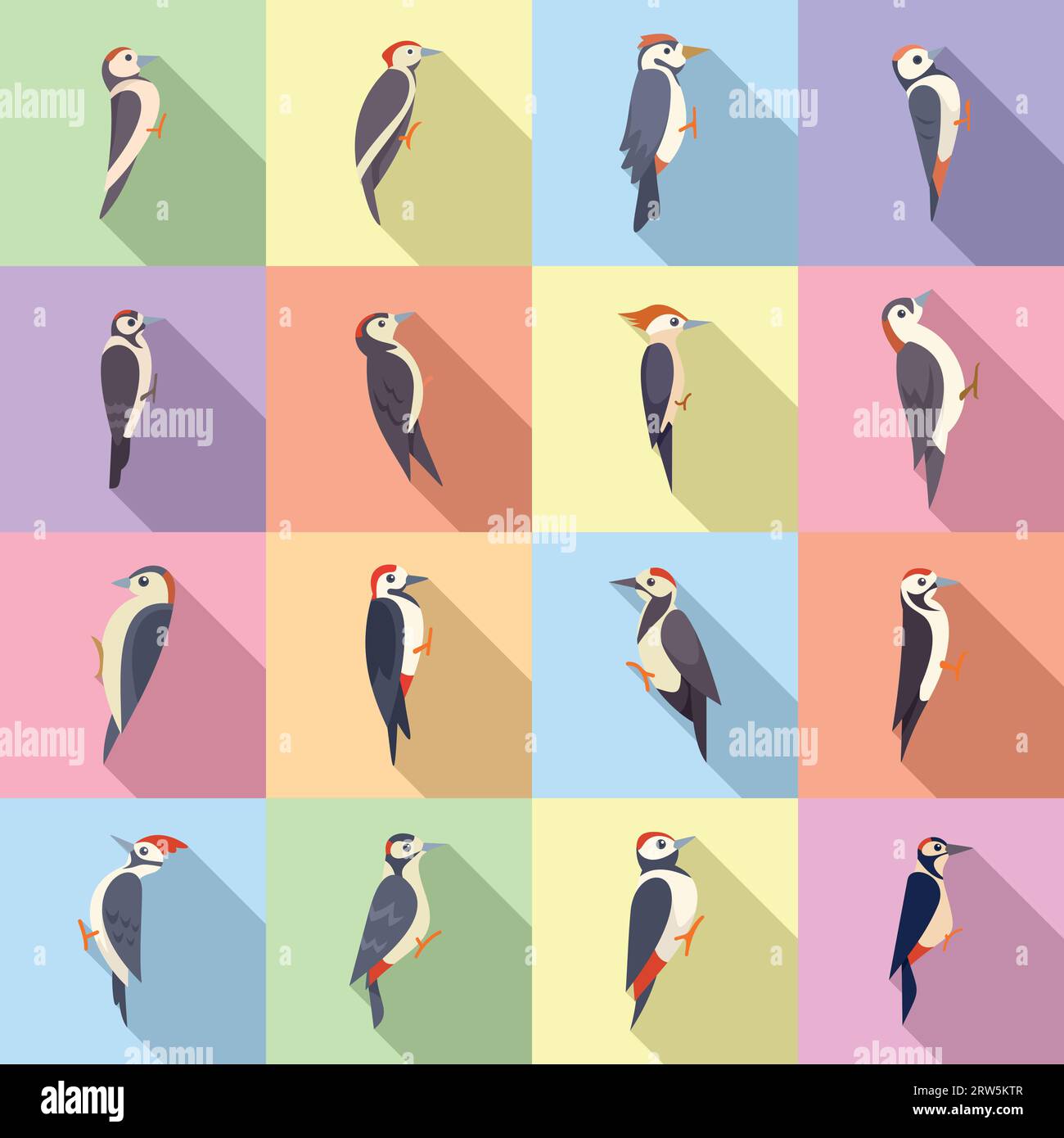 Common Woodpecker Stock Vector Images Alamy