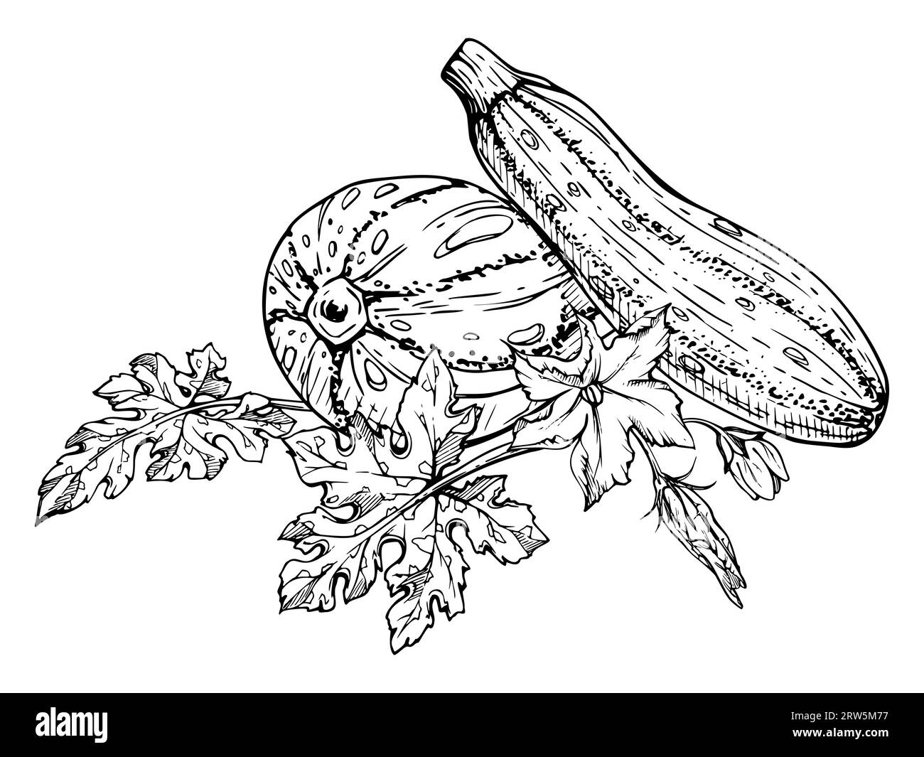 Dessins Faciles De Thanksgiving How To Draw A Cute Thanksgiving