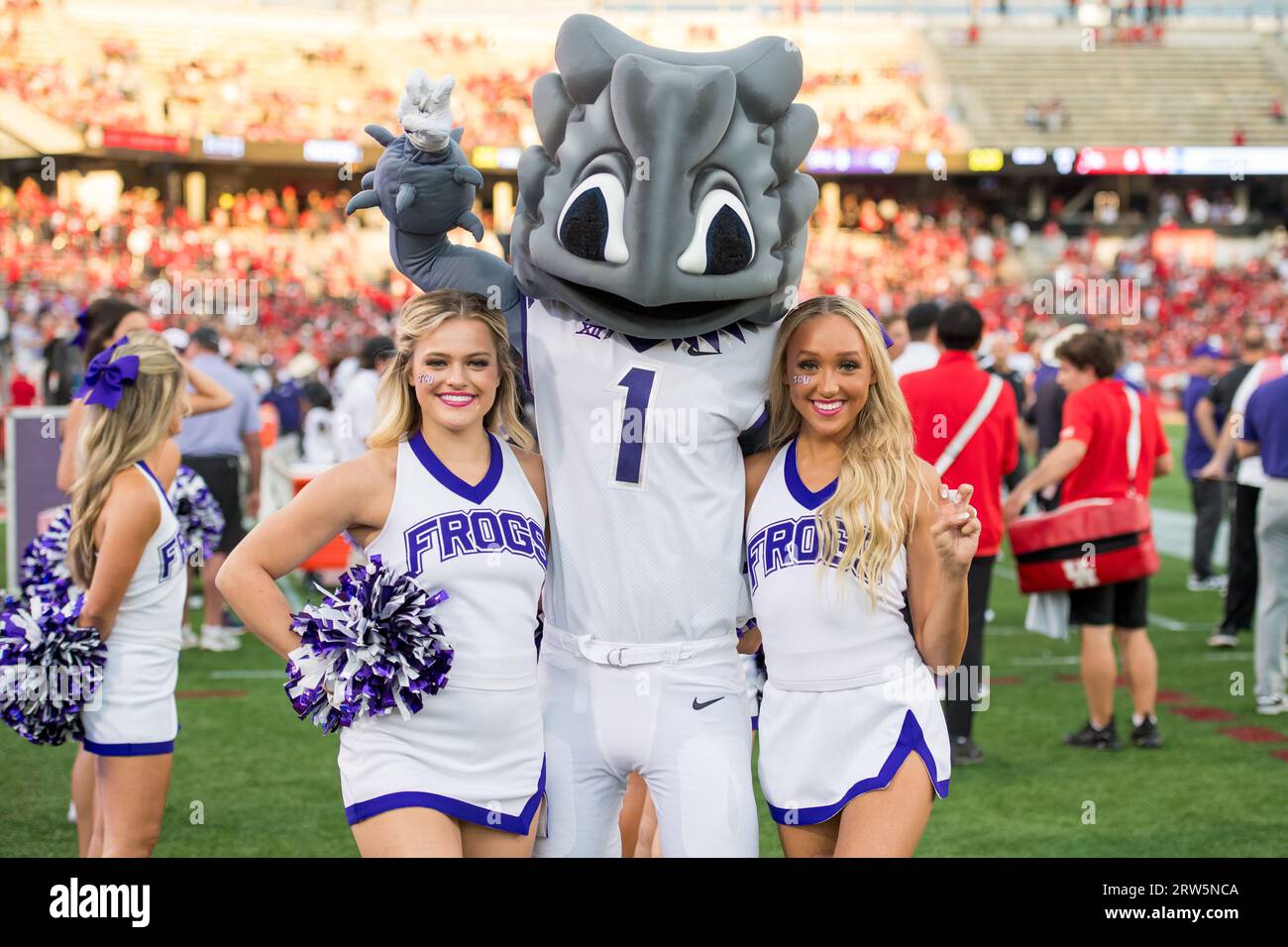 Superfrog hi-res stock photography and images - Alamy