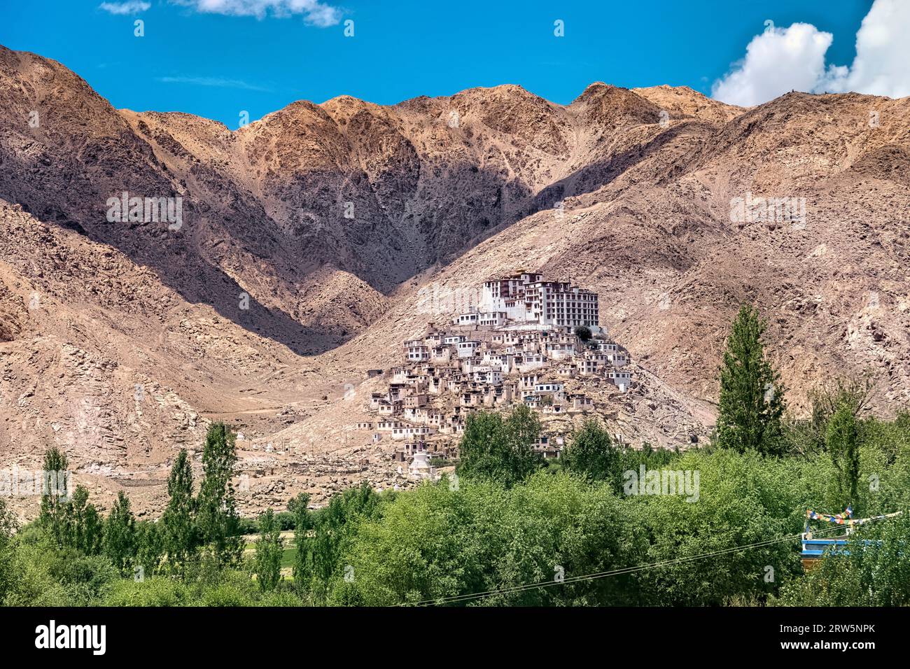 View of Chemrey Monastery, Ladakh, India Stock Photo - Alamy