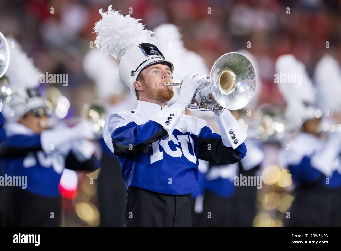 Frog marching band hi-res stock photography and images - Alamy