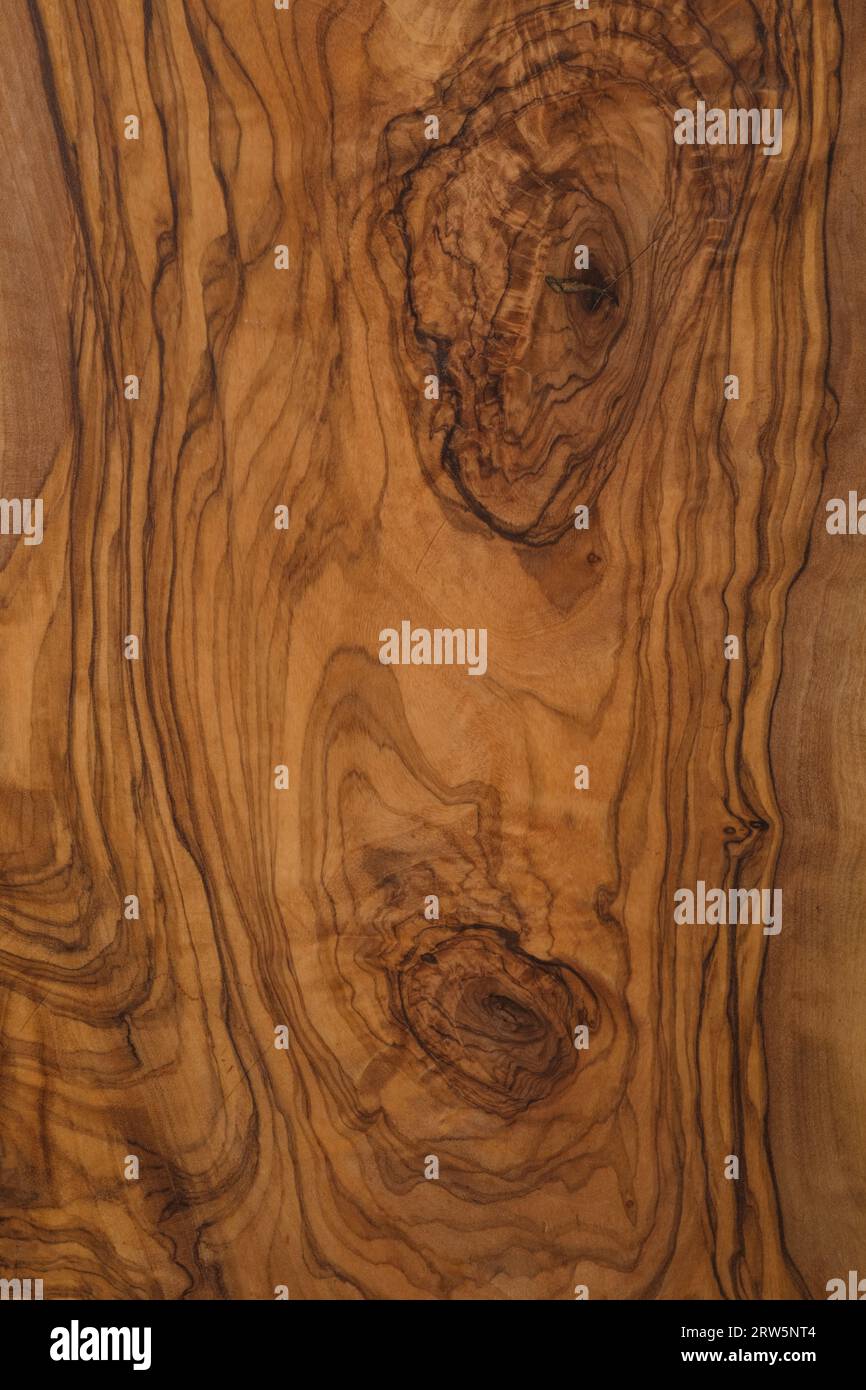 Closeup olive wood texture with oil finish, background photo Stock ...