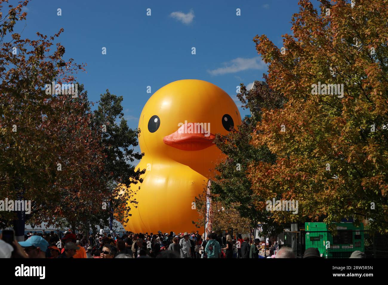 World largest rubber duck hi-res stock photography and images - Alamy