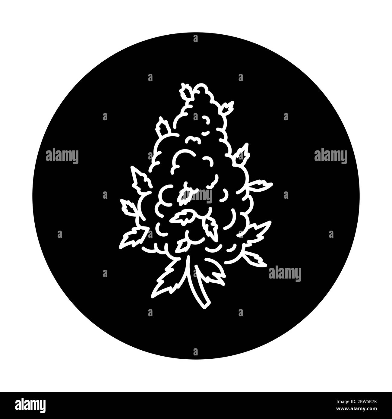 Marijuana hashish color line icon. Cannabis product sign. Narcotic ...