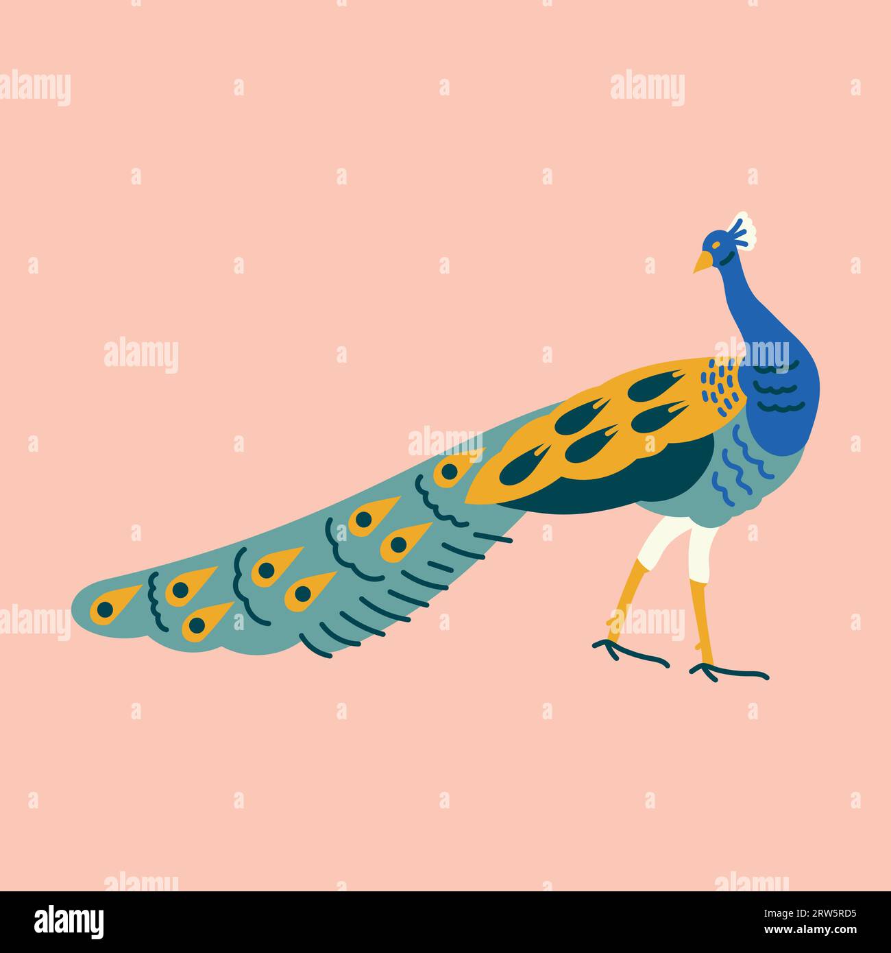 Indian Peacock Vector