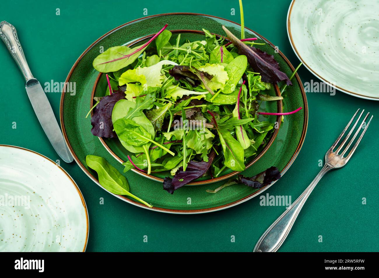 Green leaves micro lettuce hi-res stock photography and images - Alamy