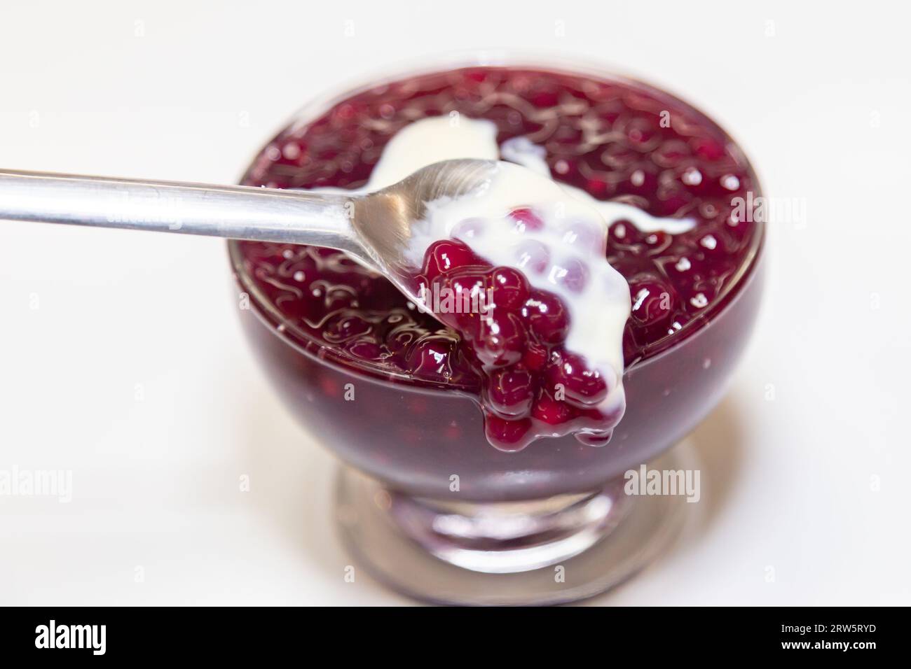 Red wine sago with vanilla cream, traditional cultural dessert from ...