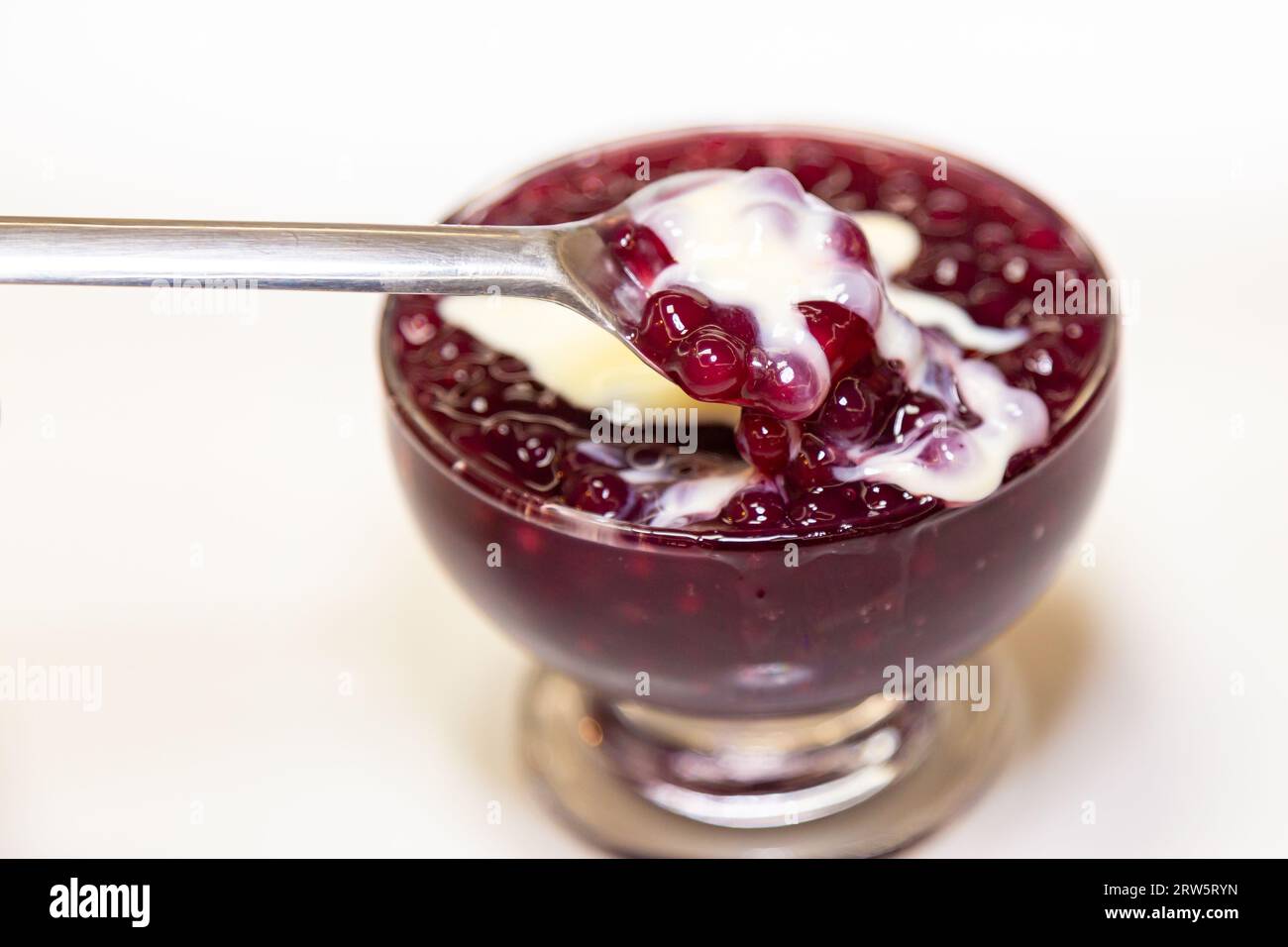 Red wine sago with vanilla cream, traditional cultural dessert from ...