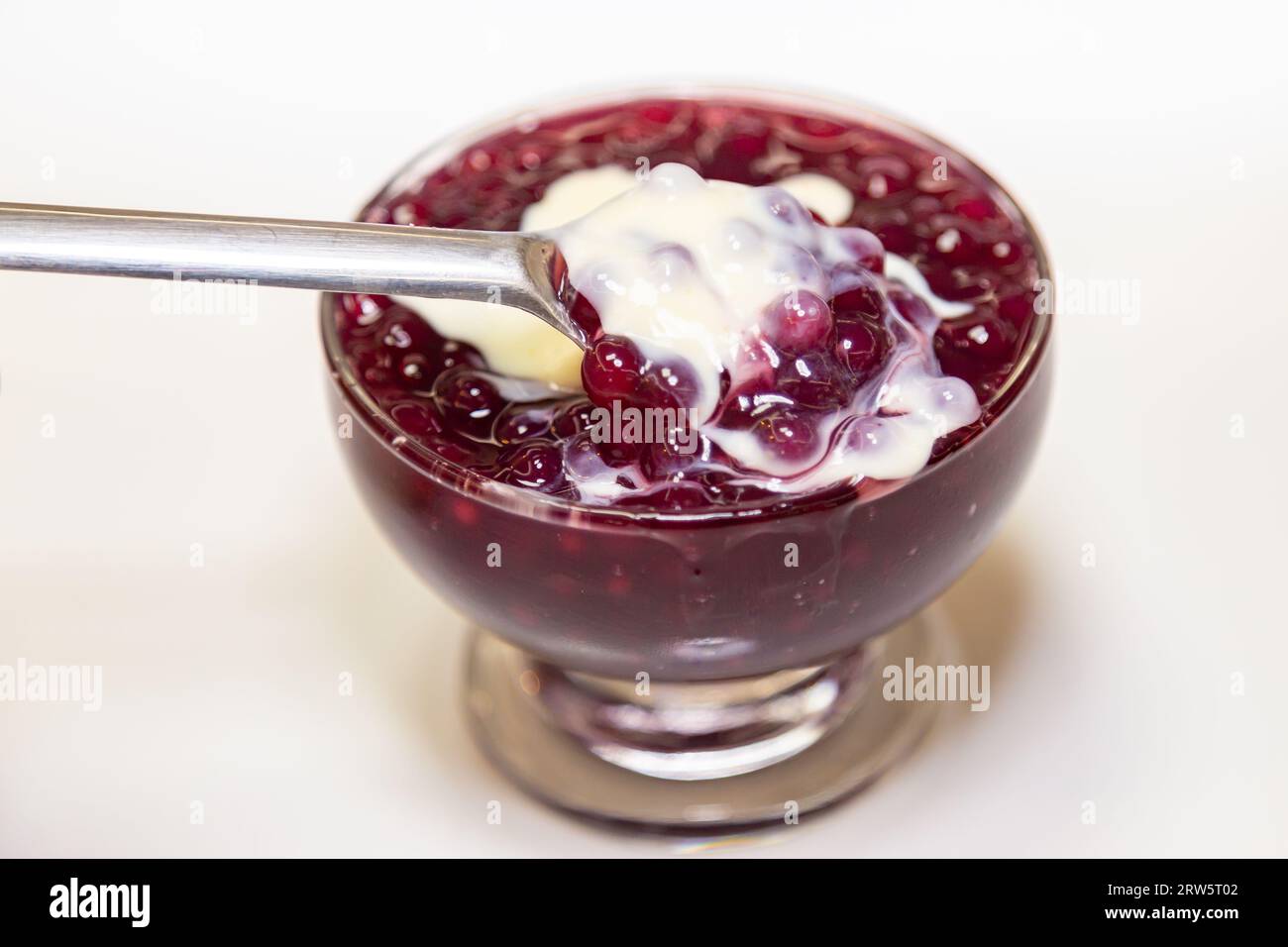 Red wine sago with vanilla cream, traditional cultural dessert from ...