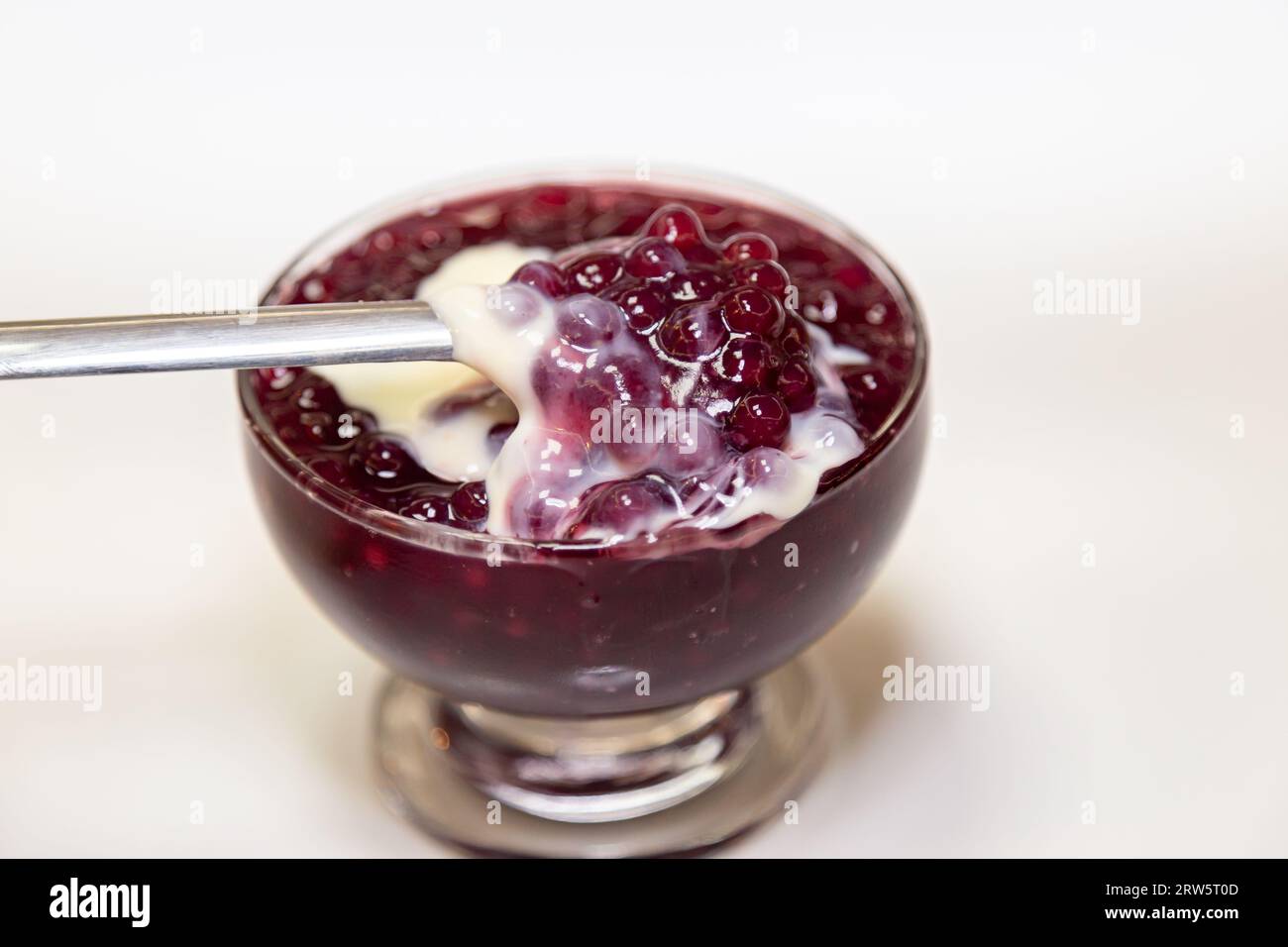 Red wine sago with vanilla cream, traditional cultural dessert from ...