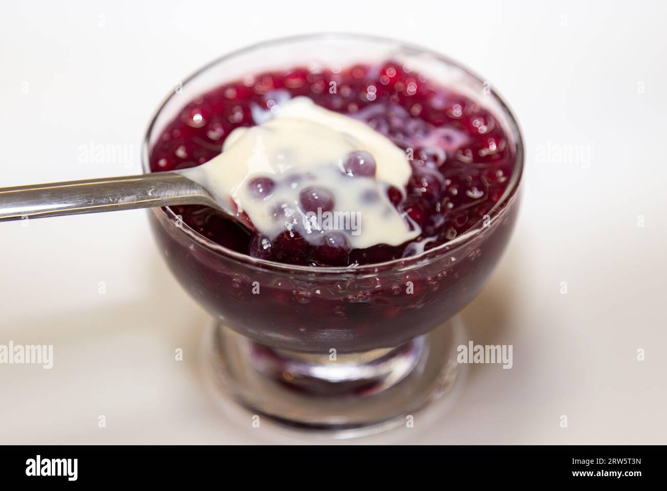 Red wine sago with vanilla cream, traditional cultural dessert from ...