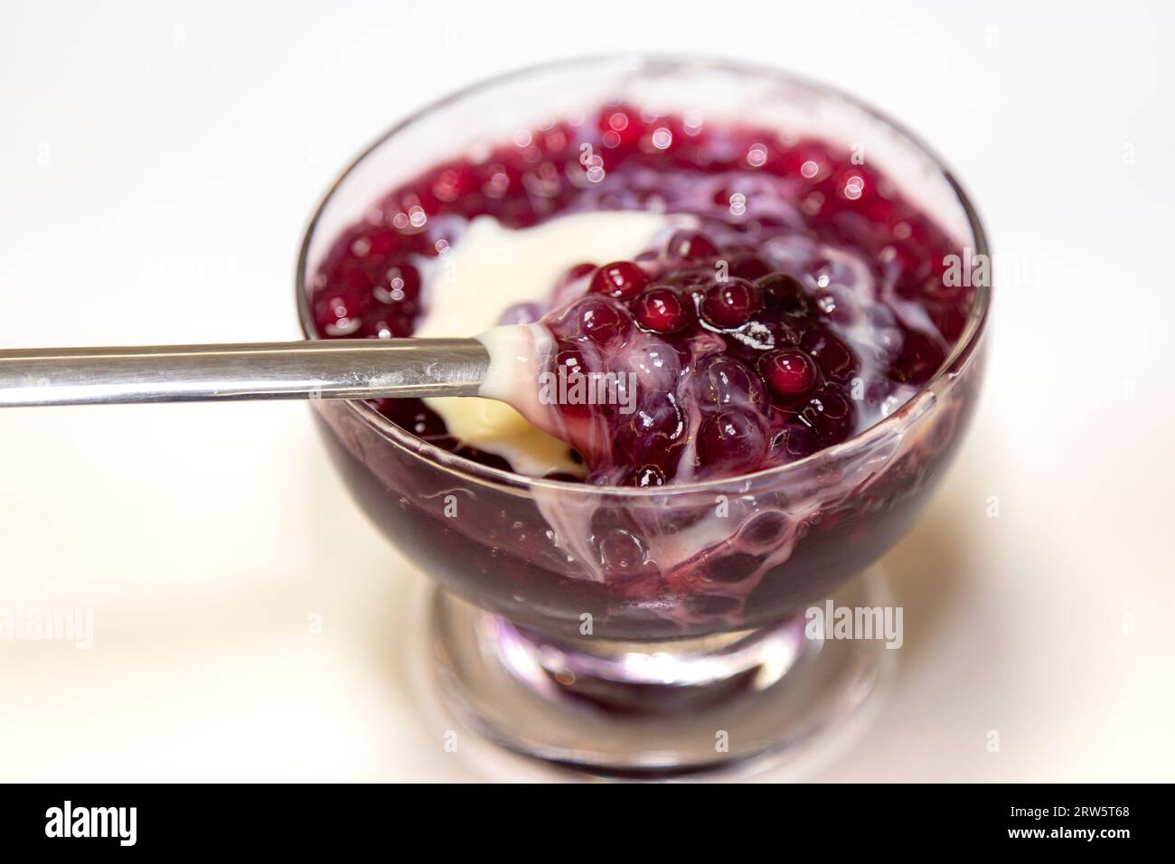Red wine sago with vanilla cream, traditional cultural dessert from ...