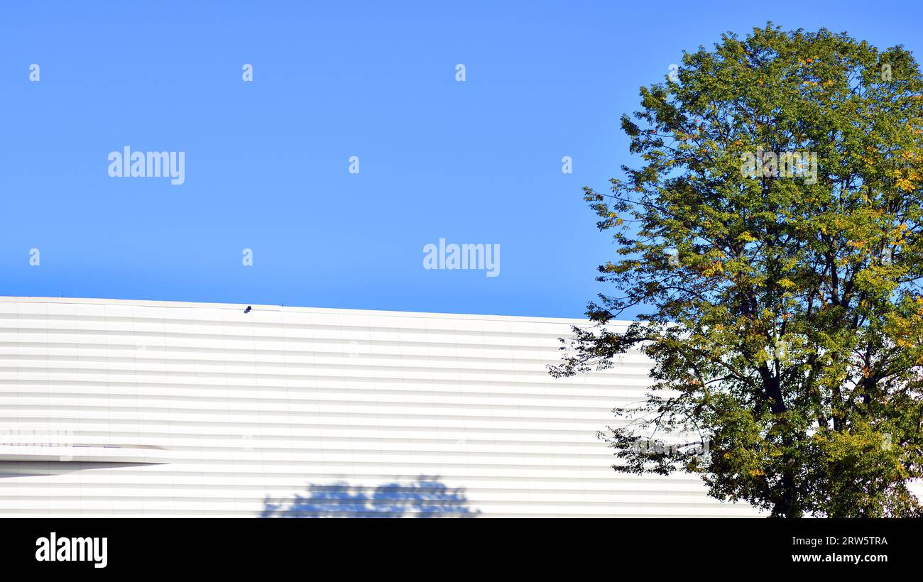 Minimalist photo of an exterior of a modern tin building Stock Photo ...