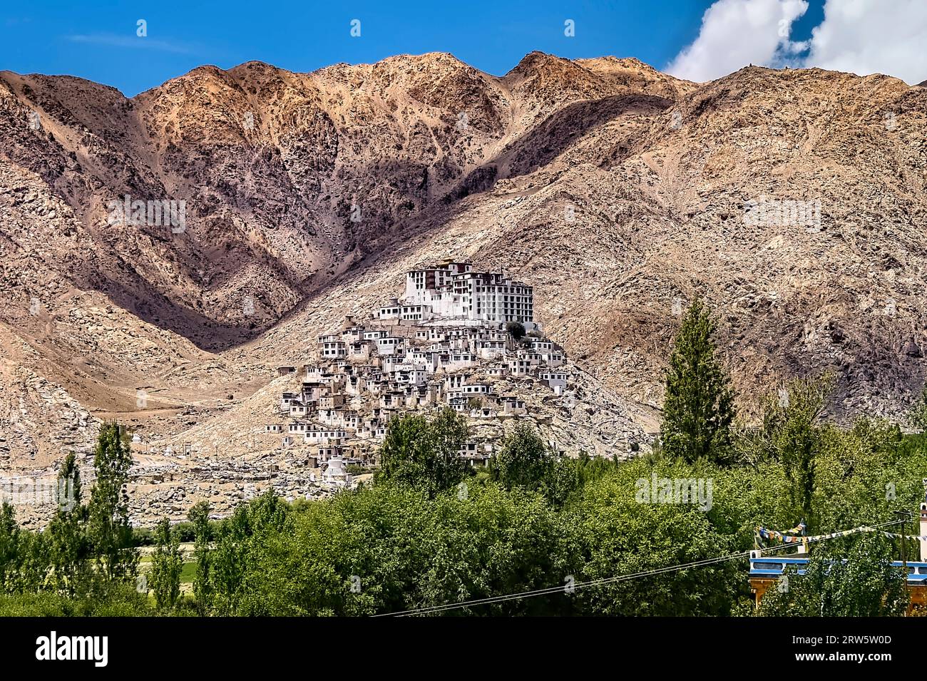 View of Chemrey Monastery, Ladakh, India Stock Photo - Alamy