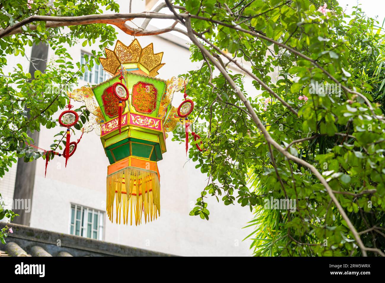 traditional Chinese lanterns hanging on a tree Stock Photo - Alamy
