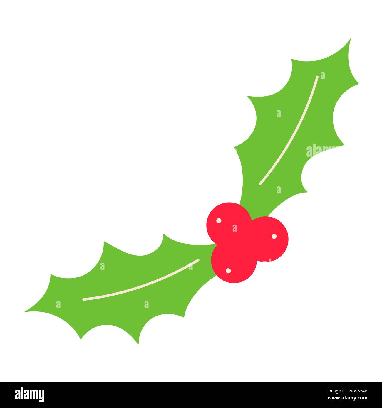 Holly branches Cut Out Stock Images & Pictures - Alamy