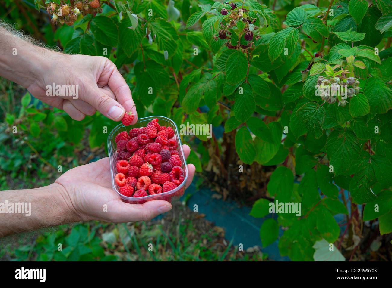 Recogida exterior hi-res stock photography and images - Alamy