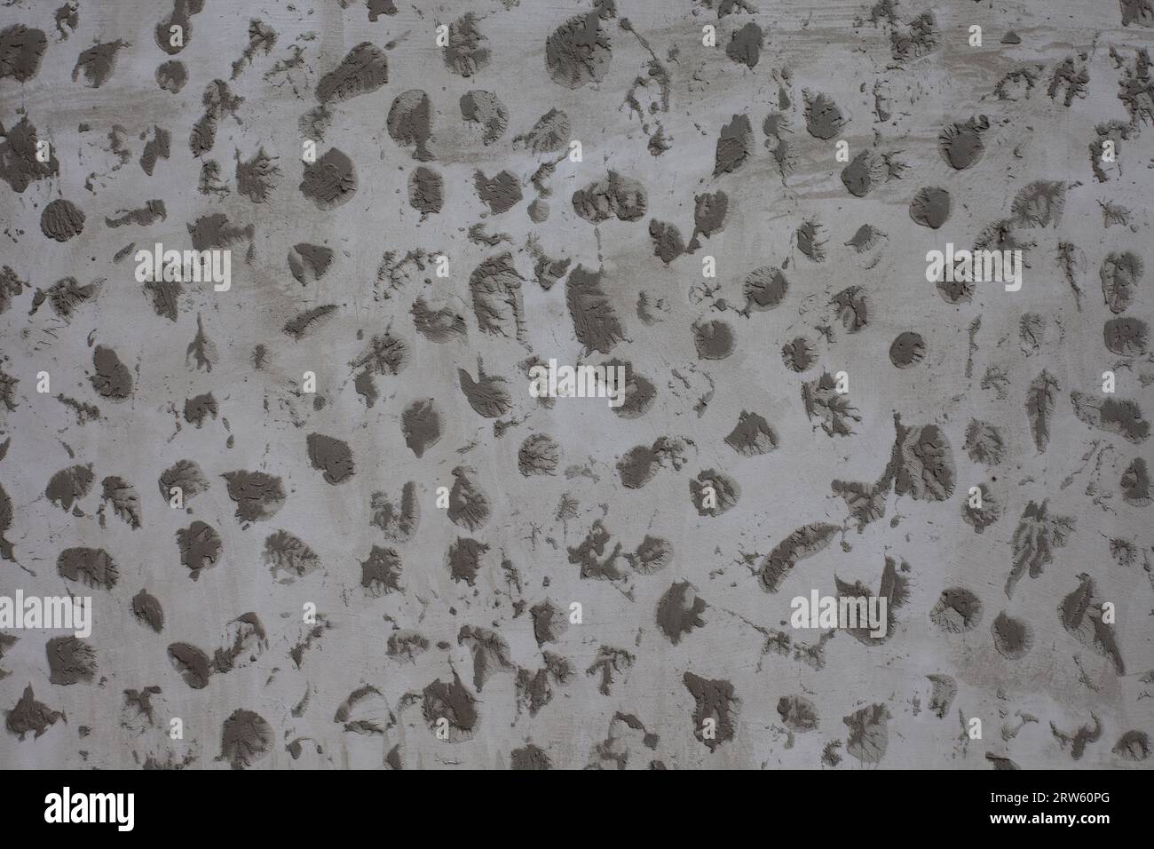 Gray putty design on the wall of the house. Background with a fresh ...