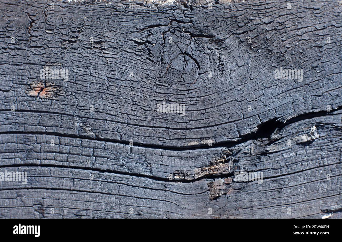 Wooden background texture of burnt board Stock Photo - Alamy