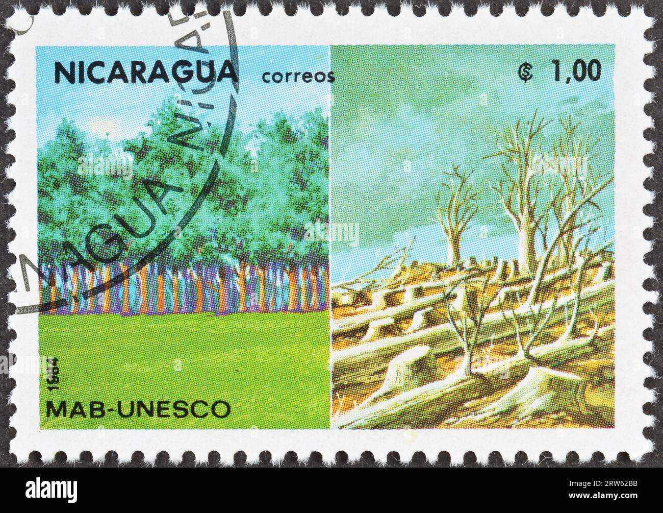 Cancelled postage stamp printed by Nicaragua, that shows Healthy Forest ...