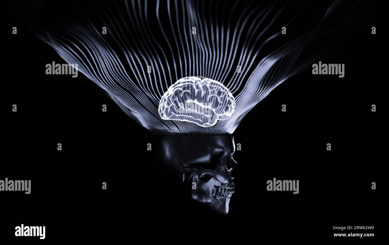 Animation 3d human skull network hi-res stock photography and images ...