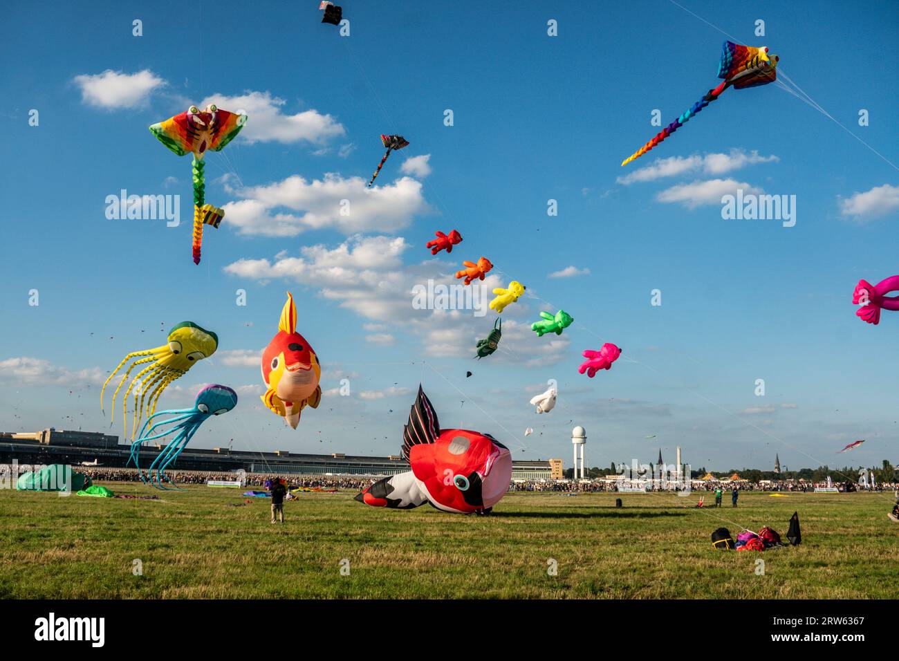 Festival der Riesendrachen auf dem Tempelhofer Feld in Berlin, 16.09. ...