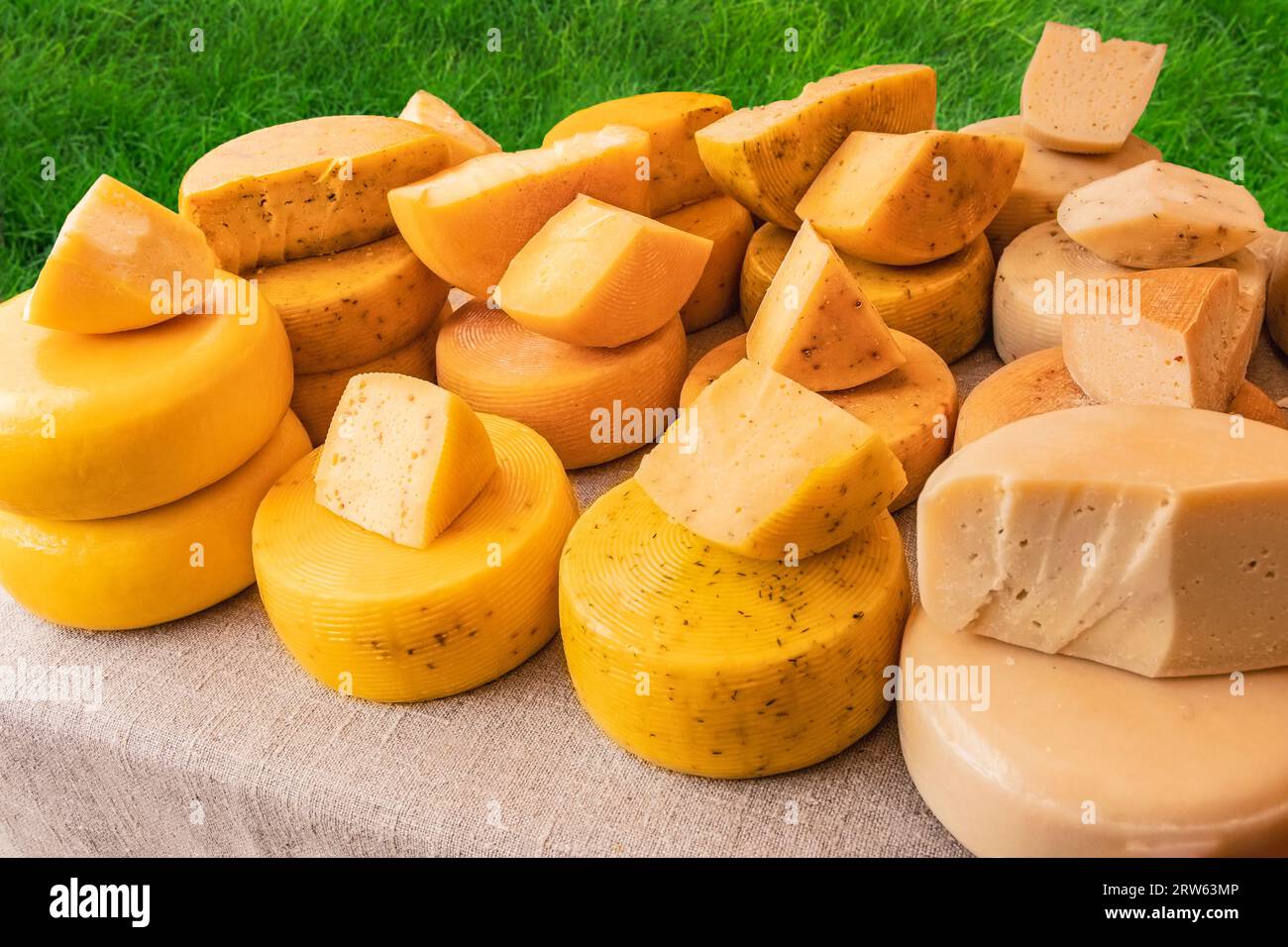 A heads of cheese at the fair. Many heads of cheese on the table ...