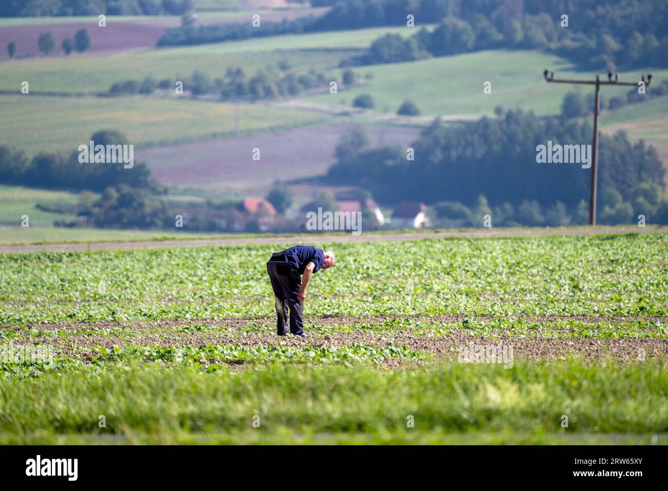Reseeding hi-res stock photography and images - Alamy