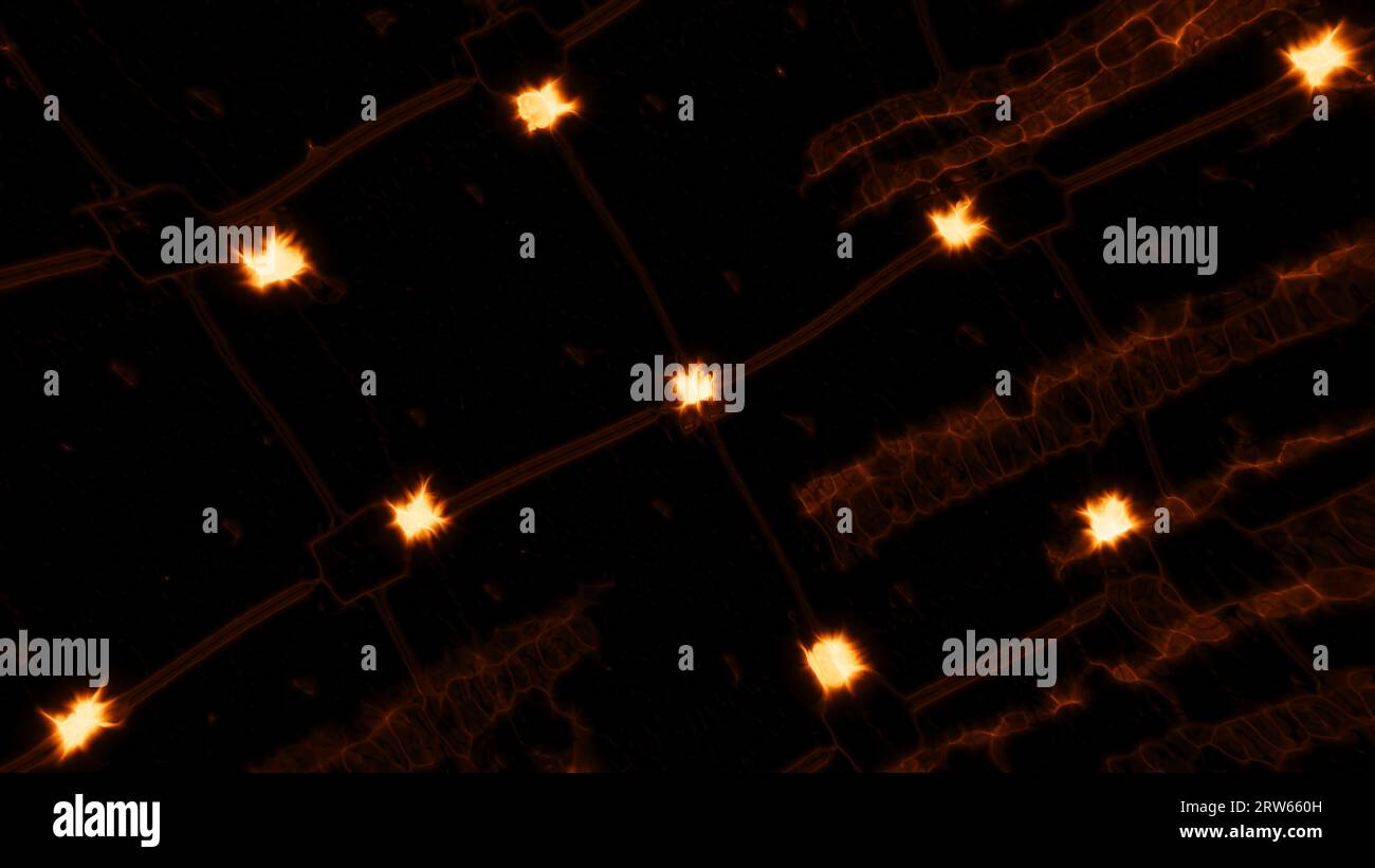 Animation modern abstract radiation icons hi-res stock photography and ...