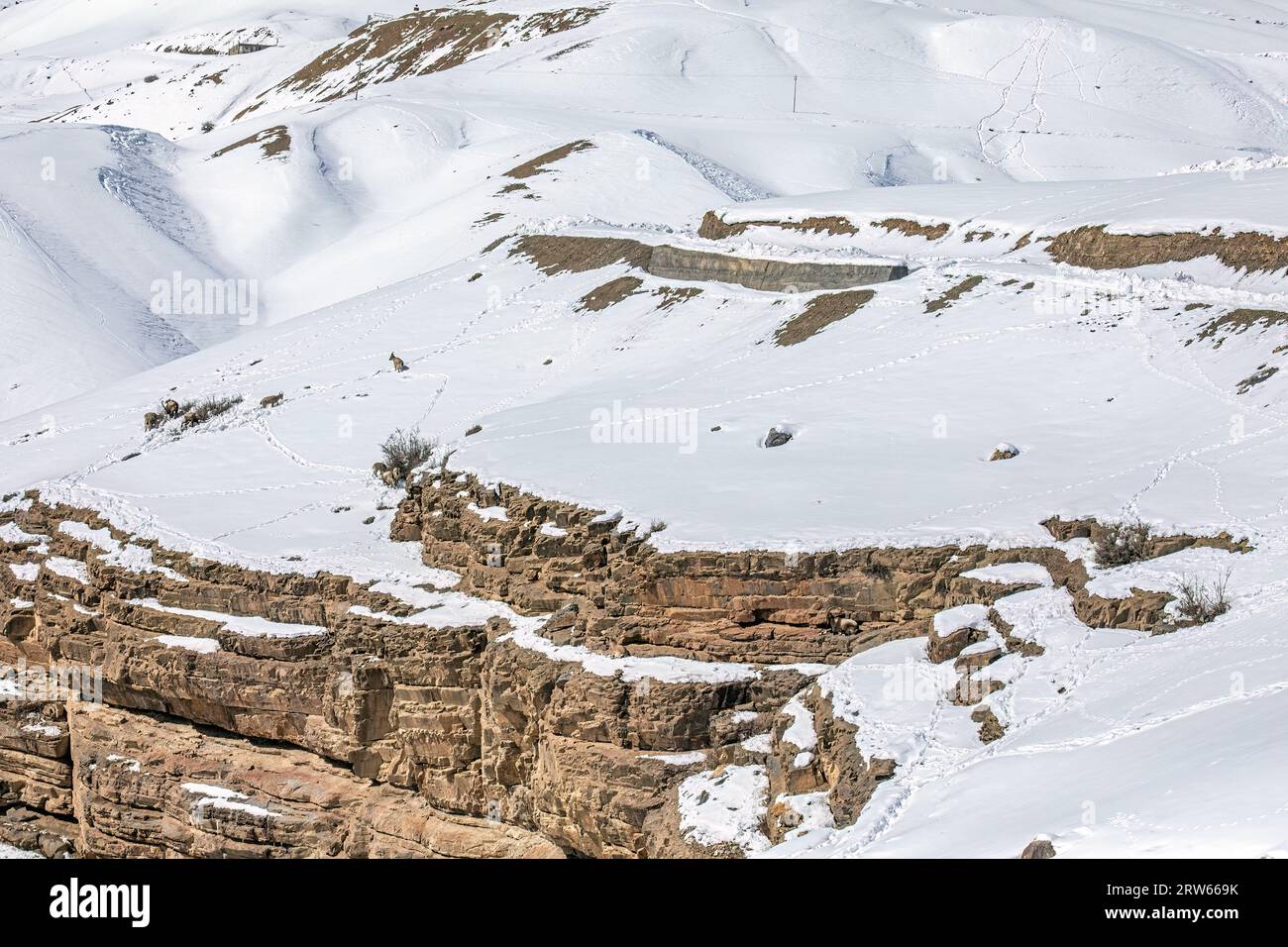 Snow Covered Mountains at Kibber Wildlife Scantuary and habitat shot of ...
