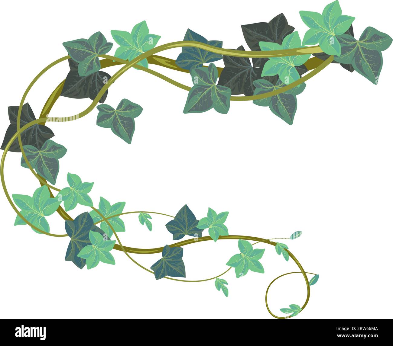 Creeping stem Stock Vector Images - Alamy