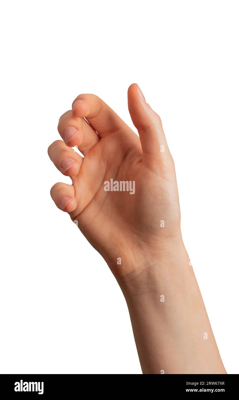 Hand holding something, isolated on white Stock Photo - Alamy