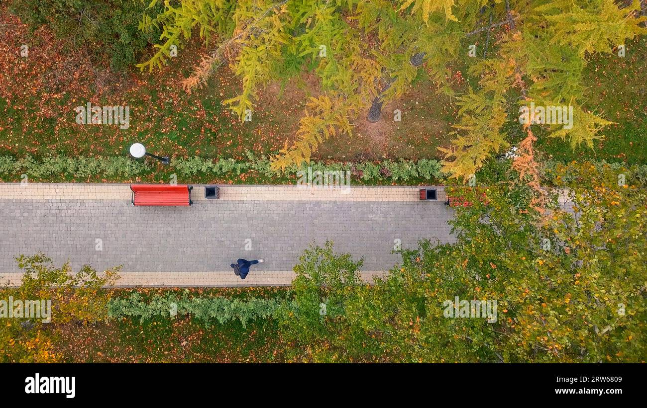 Park path with benches and passing person. Clip. Top view of beautiful ...