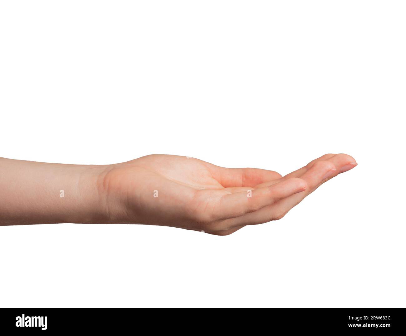 Hand palm stretched, holding and showing something, isolated on white ...