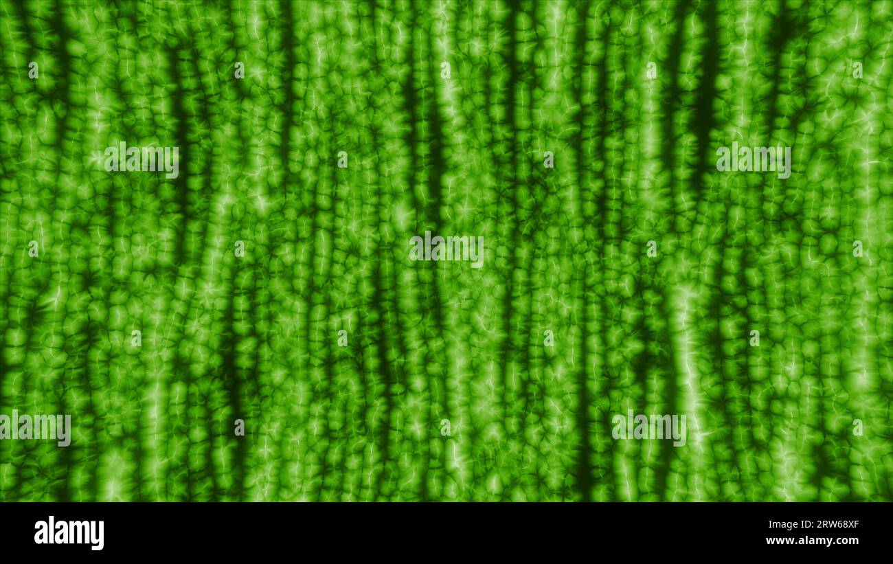 Glowing matrix lines. Motion. Bright moving lines in matrix space. Live ...