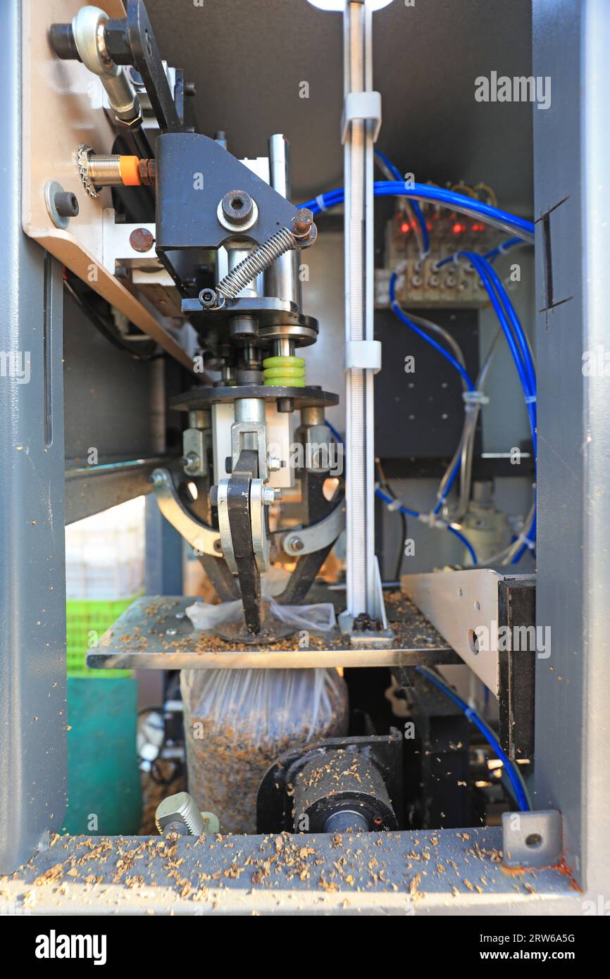 The machine automatically fills the plastic bag with edible fungus ...