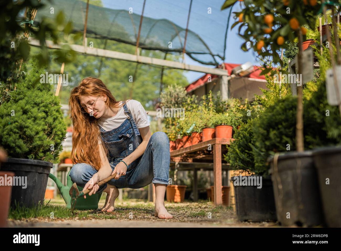 Gorgeous garden redhead girl digging hole to plant new flower Stock ...